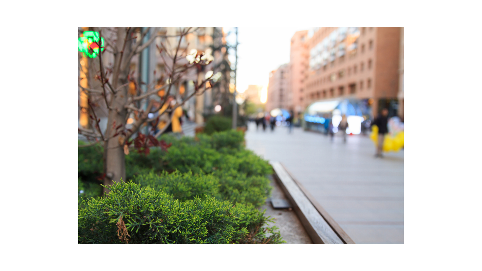 Holiday Campaign - Ontario Public Health Association